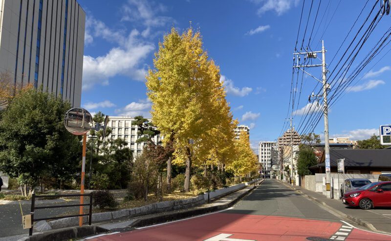 【六本松・散策】レストラン、カレー、スイーツなど、目移りしまくる裁判所東ストリート - Yahoo! JAPAN