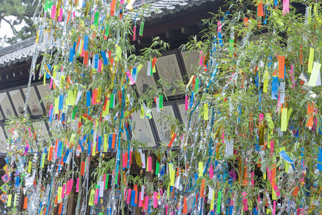 【京都】夏の境内、美しい花手水と涼し気な七夕飾り「北野天満宮」 - Yahoo! JAPAN