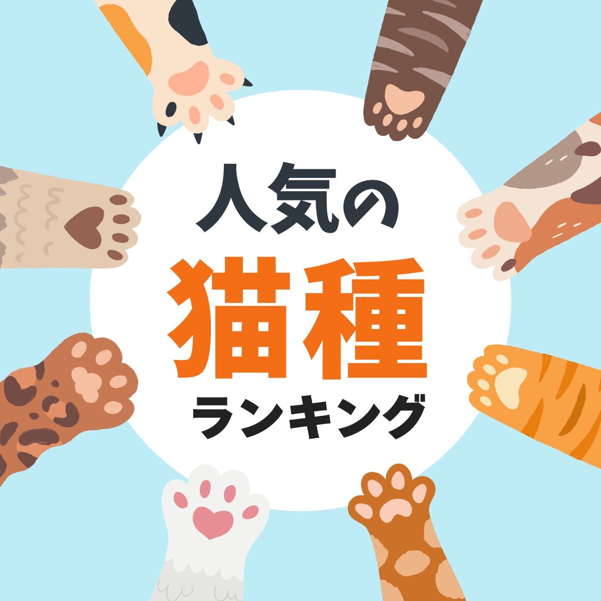 人気の猫種ランキング【可愛いポイントを紹介】 - Yahoo! JAPAN