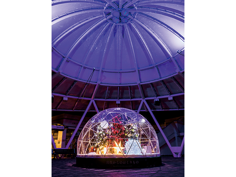 アンスリウムツリーを閉じ込めた、光の雪が降る巨大スノードーム - Yahoo! JAPAN