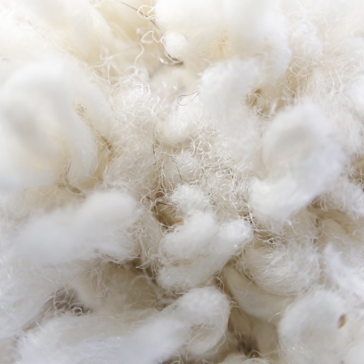 冬の“カーペット”掃除がラクに！掃除機をかけた後でも“面白いほどホコリや毛が取れる”掃除アイテム - Yahoo! JAPAN