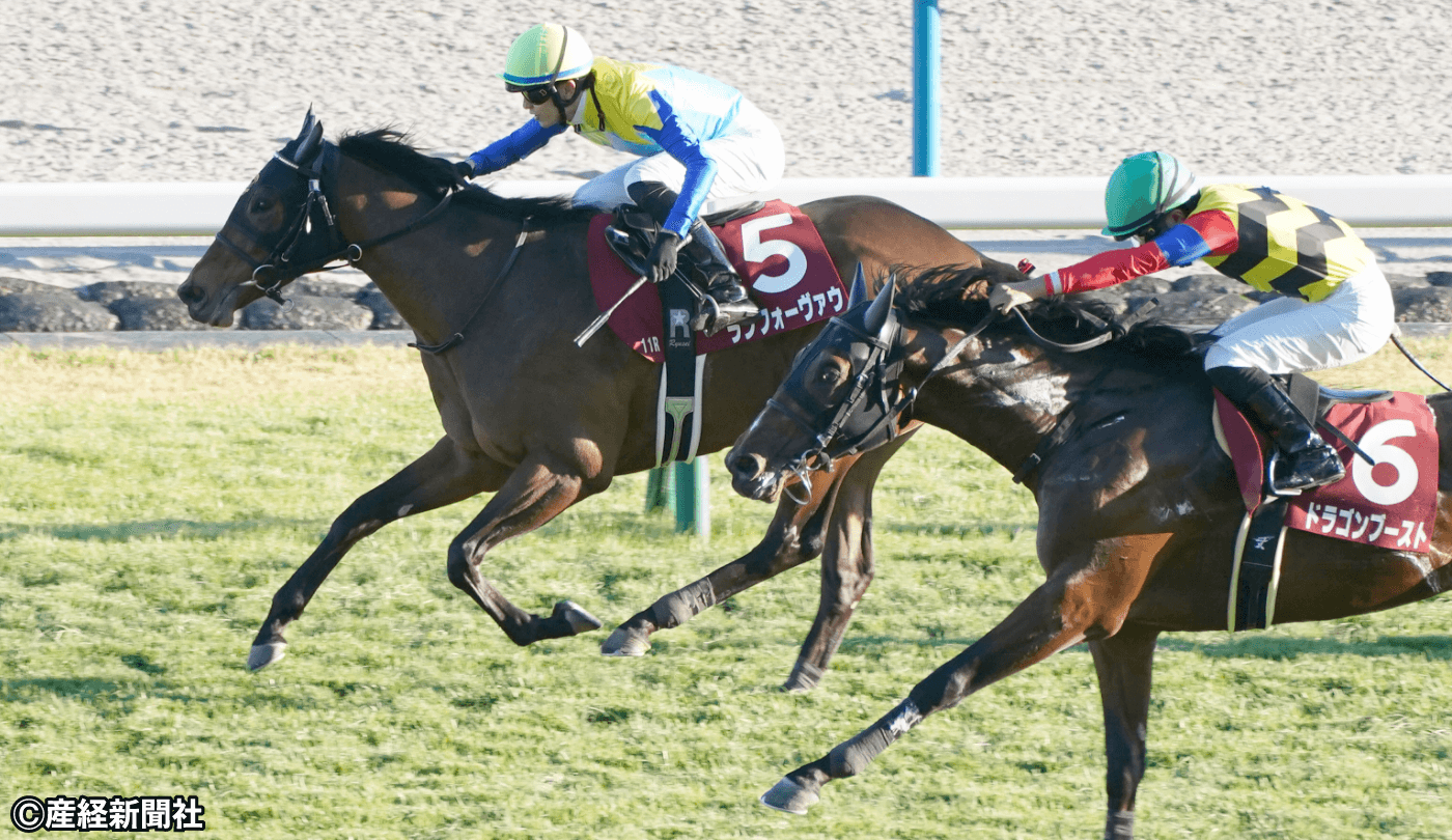 【デイリー杯2歳S】Ⅴ候補はキャリア1・2戦馬！ 過去10年の傾向から考える攻略ポイント - Yahoo! JAPAN